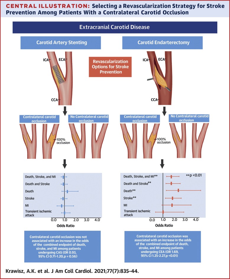 Revolutionizing Carotid Treatments with a Hybrid Microsurgical ...